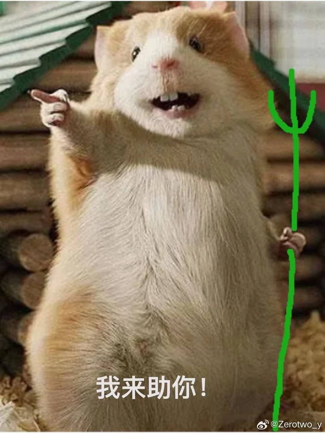 我来助你！(表情包)_斗鱼鱼吧